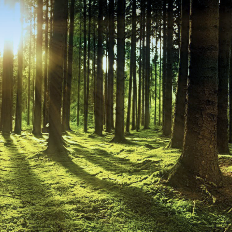 SPOKE 5 - ENVIRONMENT & NATURAL DISASTERS - Supercomputing ICSC